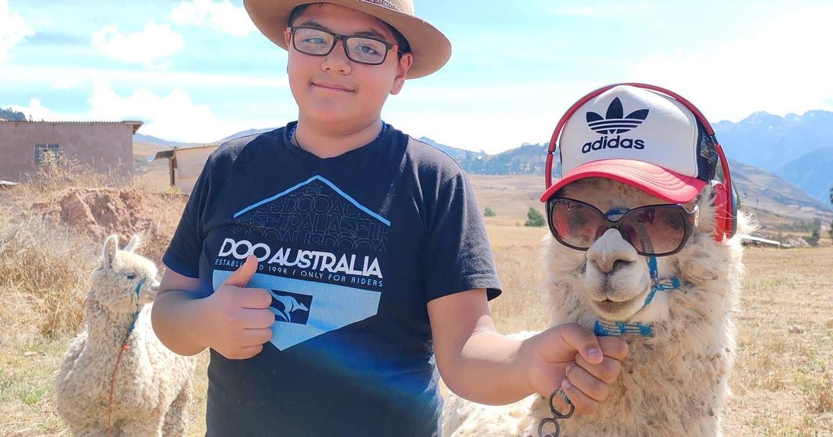 Cusco: Lama- und Alpaka-Trekking im Heiligen Tal | GetYourGuide