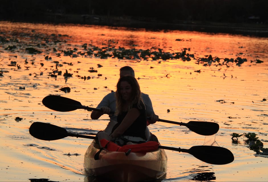 Orlando: Sunset guided kayaking tour | GetYourGuide