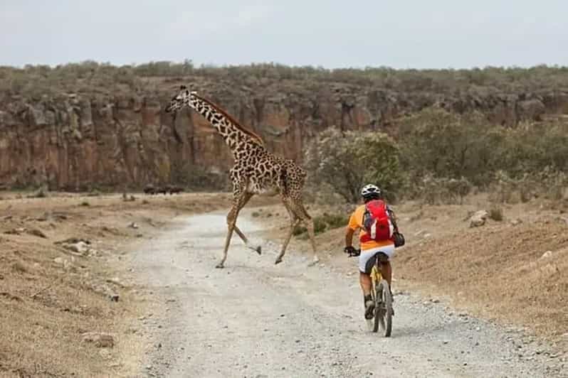 Day Trips From Naivasha To Hells Gate National Park Getyourguide