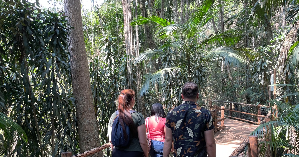 São Paulo: Botanical Garden Tour with Wildlife Biologist | GetYourGuide