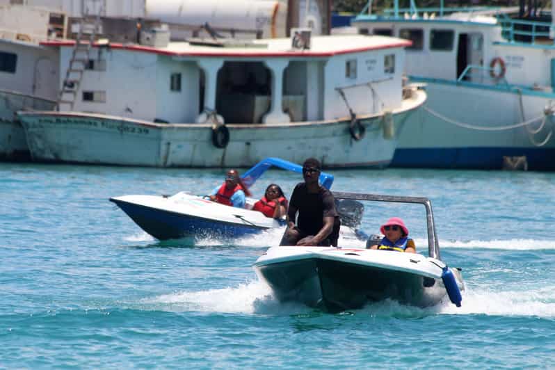 Nassau: Self-Drive Speedboat Ride and Pig Swimming Encounter | GetYourGuide