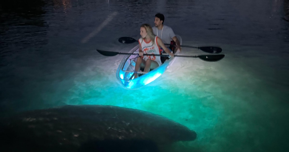 Clear Kayak Manatee Viewing Sunset & Glow Tour Crystal River | GetYourGuide