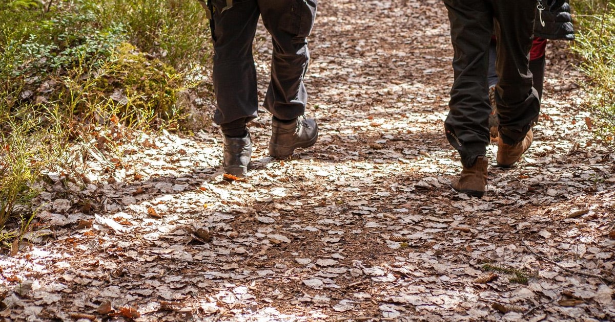 Helsinki: Uutela Geführte Naturwanderung mit Imbiss | GetYourGuide