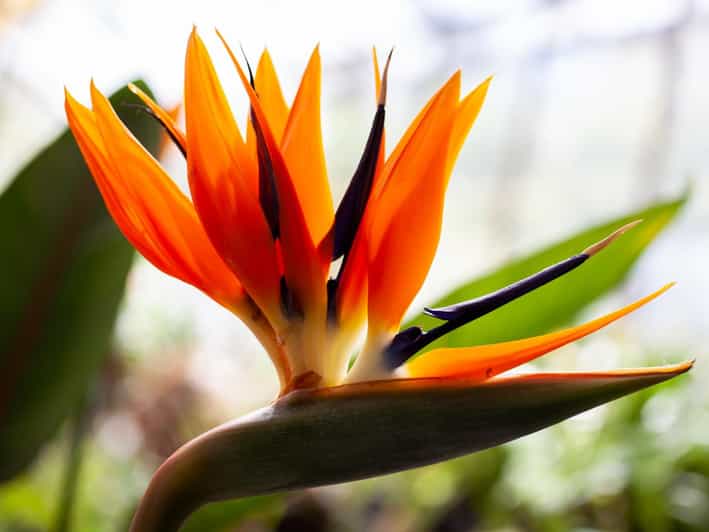 The BEST Parma Sightseeing 2024 - FREE Cancellation | GetYourGuide