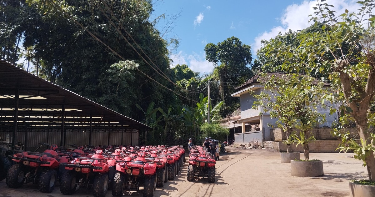 BALI: ALASAN ADVENTURE ATV RIDE/TEGALALANG TOURS | GetYourGuide