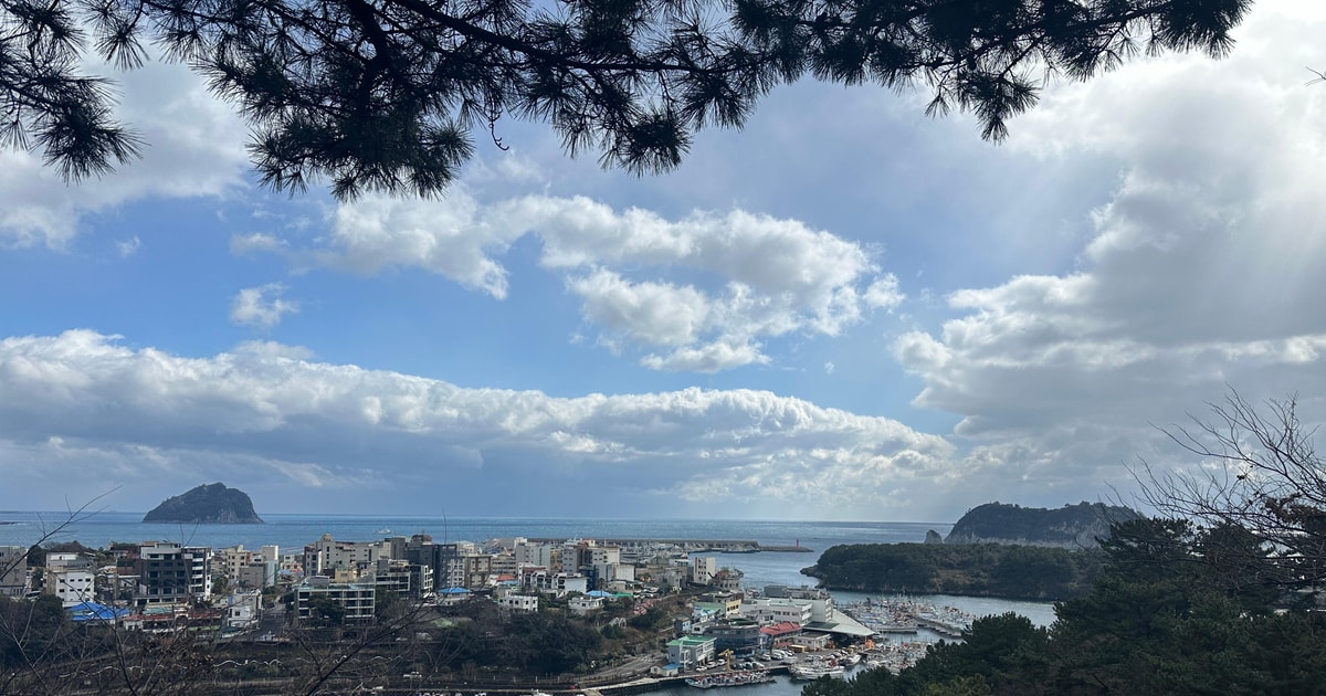 Seogwipo City in Jeju Island: Walking Full-Day Tour in Jeju | GetYourGuide