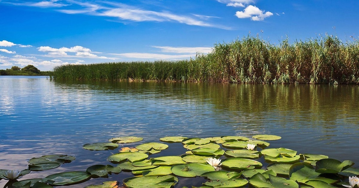 Din București: Excursie de o zi în Delta Dunării - experiență uimitoare ...
