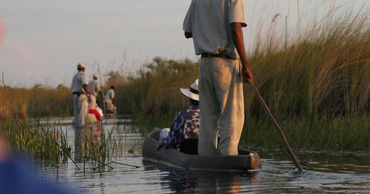 Tour de día completo en Mokoro por el Okavango | GetYourGuide