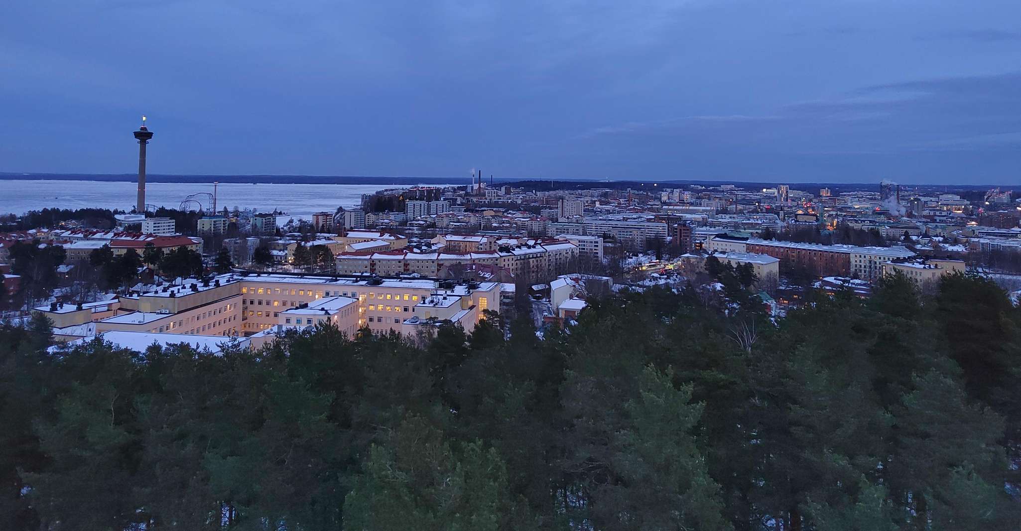 Tampere; Pyynikki Nature Tour with a tasty treat. - SuiteTrails