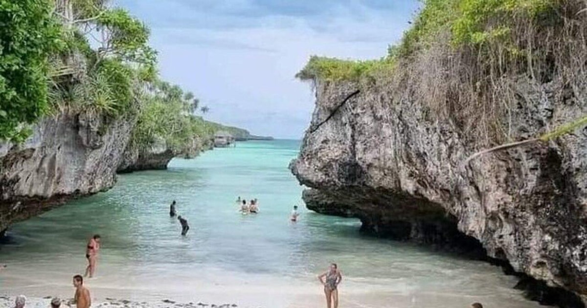 ZANZIBAR: Jozani Forest, kuza cave and mtende beach | GetYourGuide