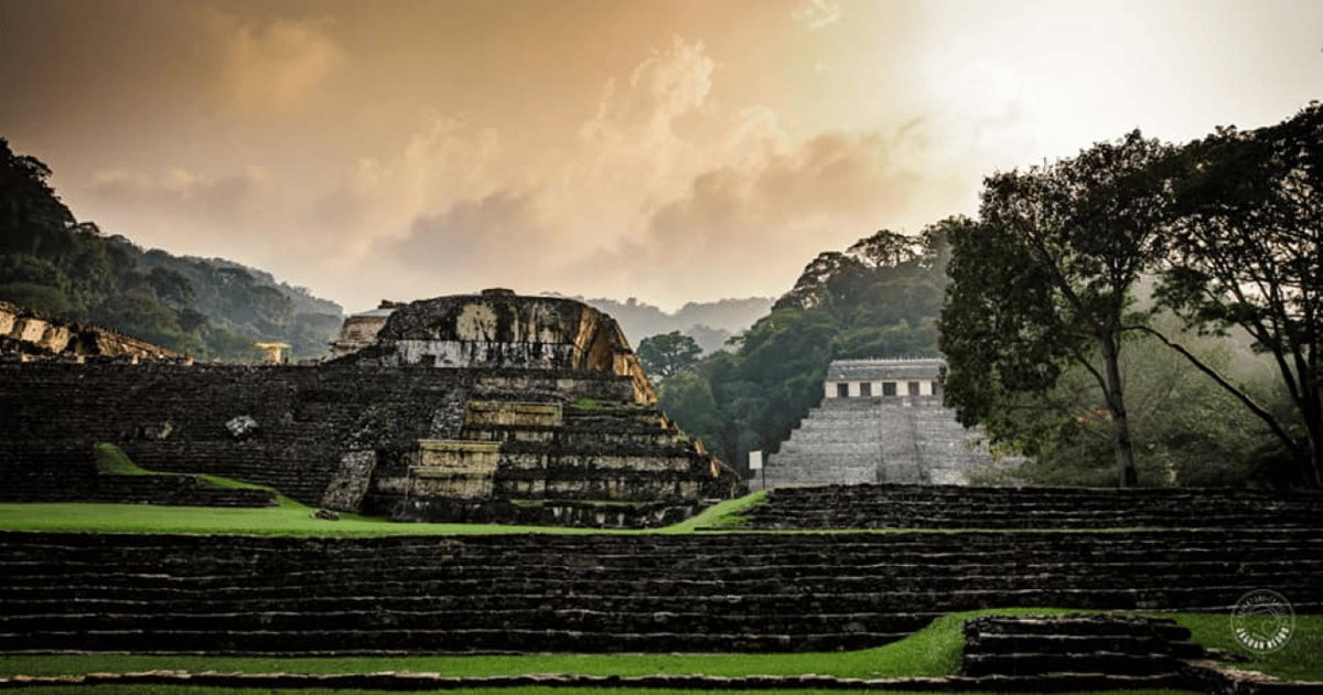Palenque: Calakmul Tour: Mayan Ruins & Wildlife Exploration | GetYourGuide