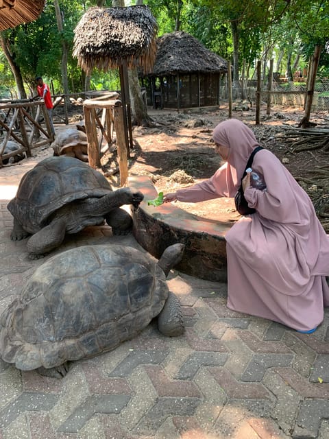 Zanzibar: Prison Island Tour | GetYourGuide