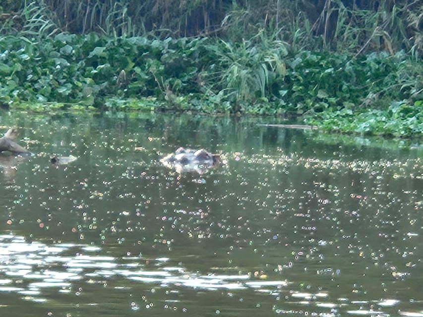 Hike in a Wildlife Reserve with Wild Animals (no predators) | GetYourGuide