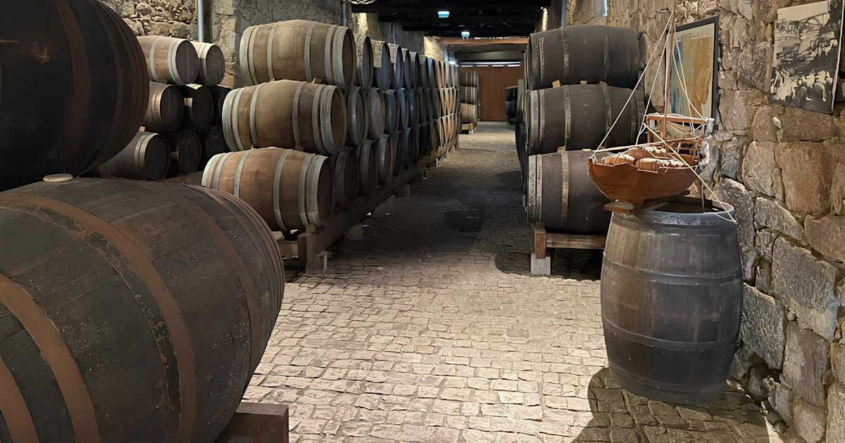 Visit to a Port Wine Cellar | GetYourGuide