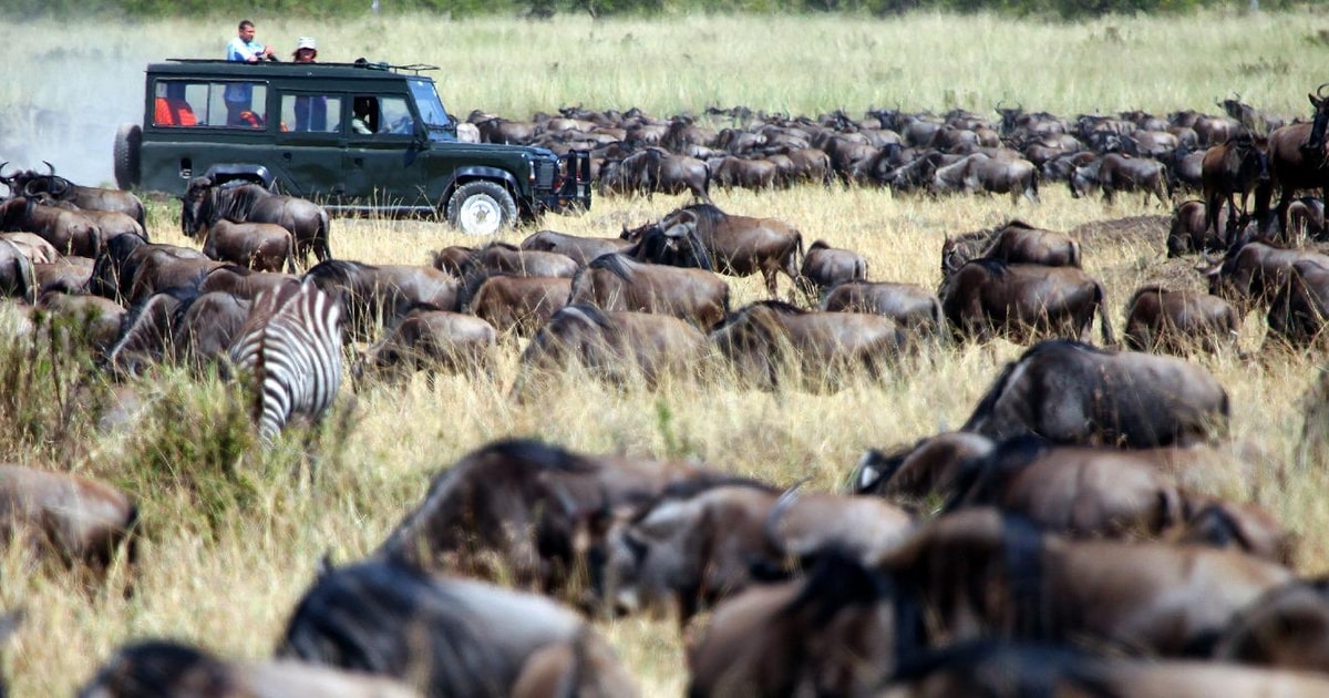3 Day Maasai Mara Group Joining Budget Safari on 4x4 Jeep | GetYourGuide