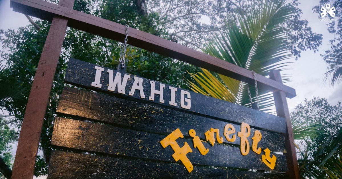 Puerto Princesa City: A Magical Night with Fireflies | GetYourGuide