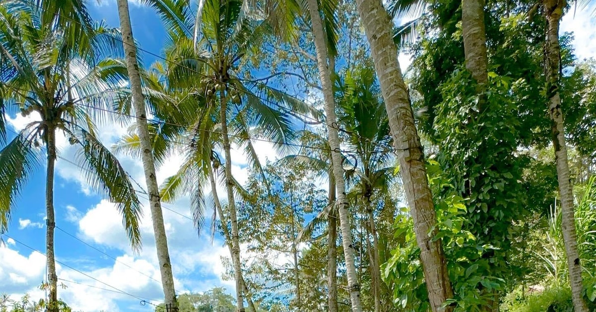 Ubud: ATV, River Rafting und Tegallalang All Inclusive Tour | GetYourGuide