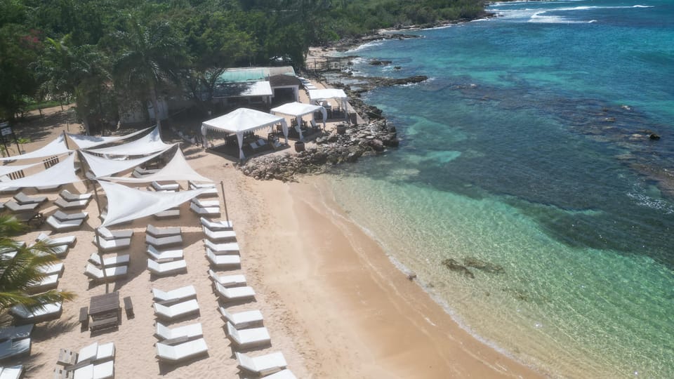 Falmouth: Jungle River Tubing & Bamboo Beach Club VIP Access | GetYourGuide