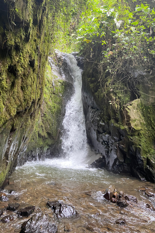 From Popayán: Experience the hot springs of Coconuco | GetYourGuide