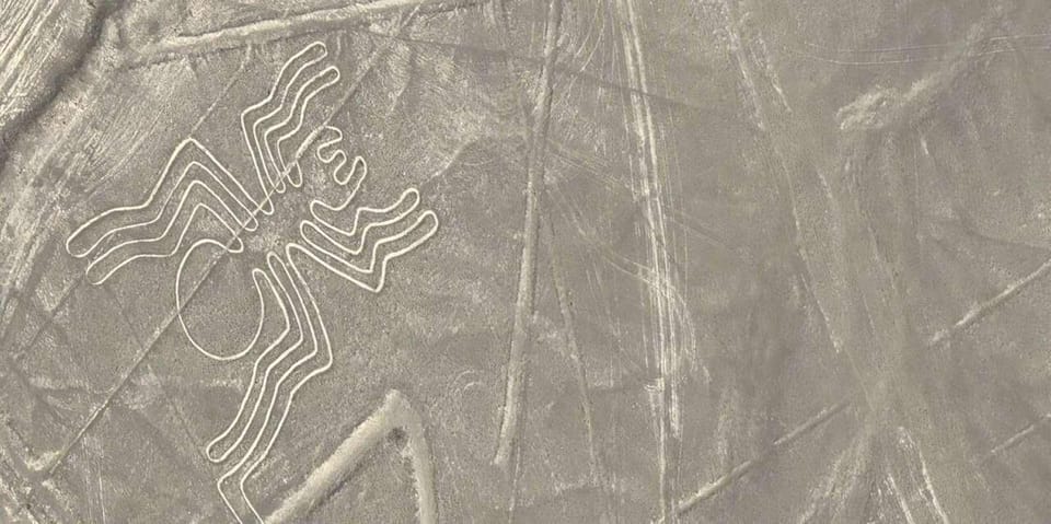 Full Day Nazca Lines Overflight - Departure from Ica | GetYourGuide