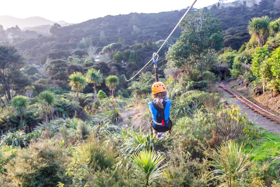 Coromandel: Guided Zipline Tour Experience | GetYourGuide