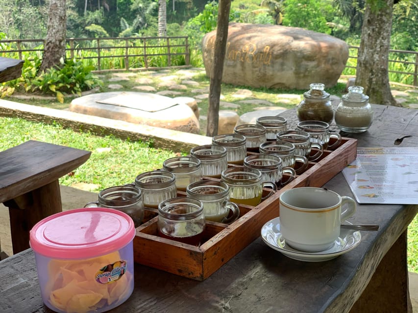 Bali: Highlights Top Sights Places In Ubud with Transfer | GetYourGuide