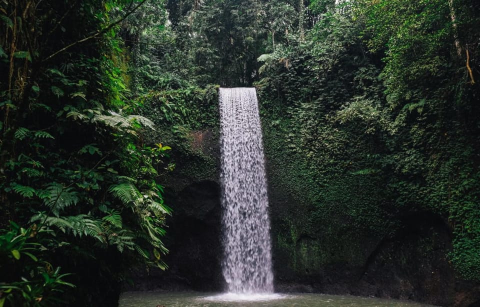 Ubud Hidden Gems: Waterfall Tour | GetYourGuide