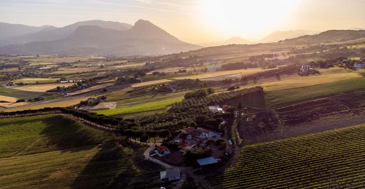 Benevento: picnic among the olive groves of the Sannio and tour of the ...