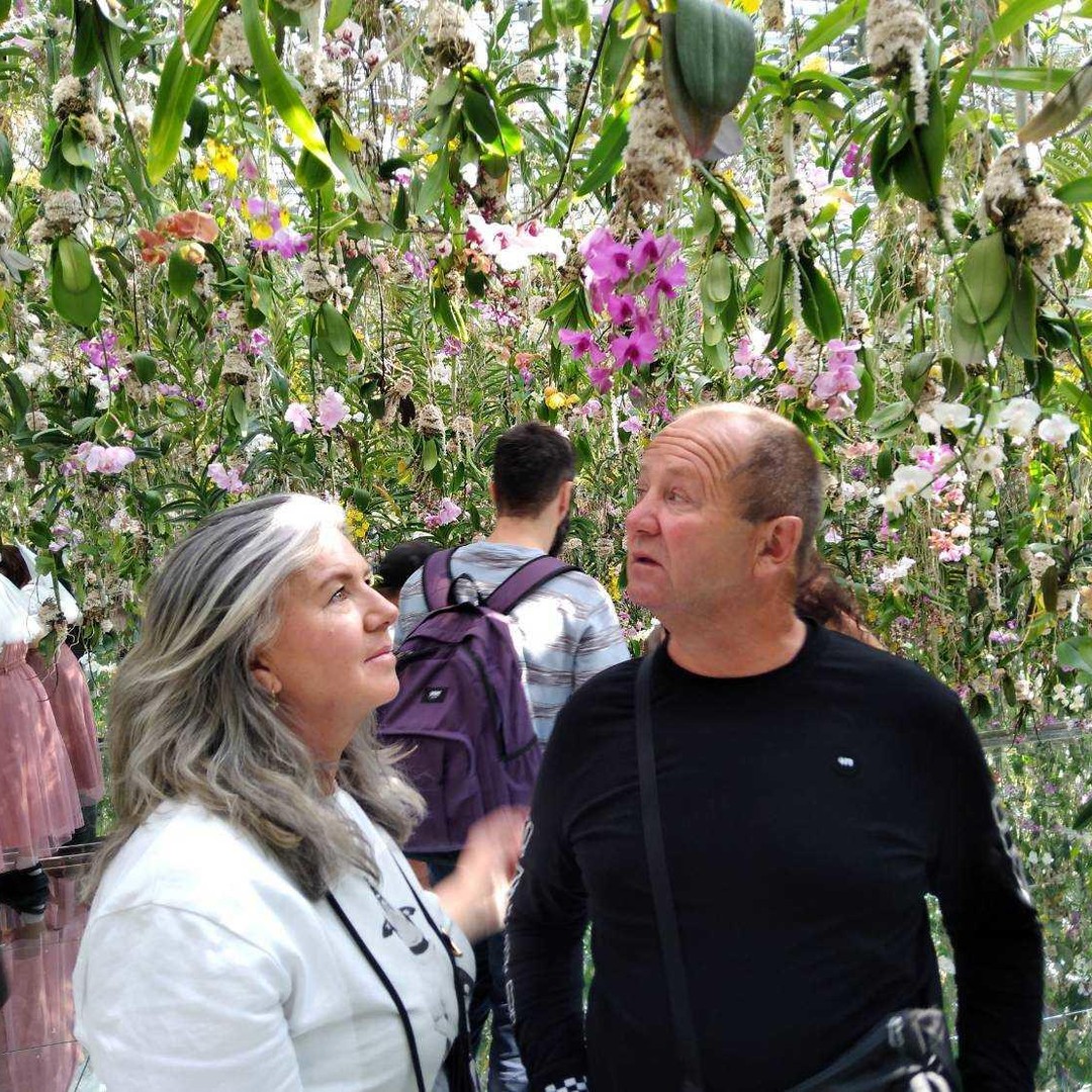 Tokyo: tour di TeamLab Planets e della baia di Odaiba Gundam | GetYourGuide