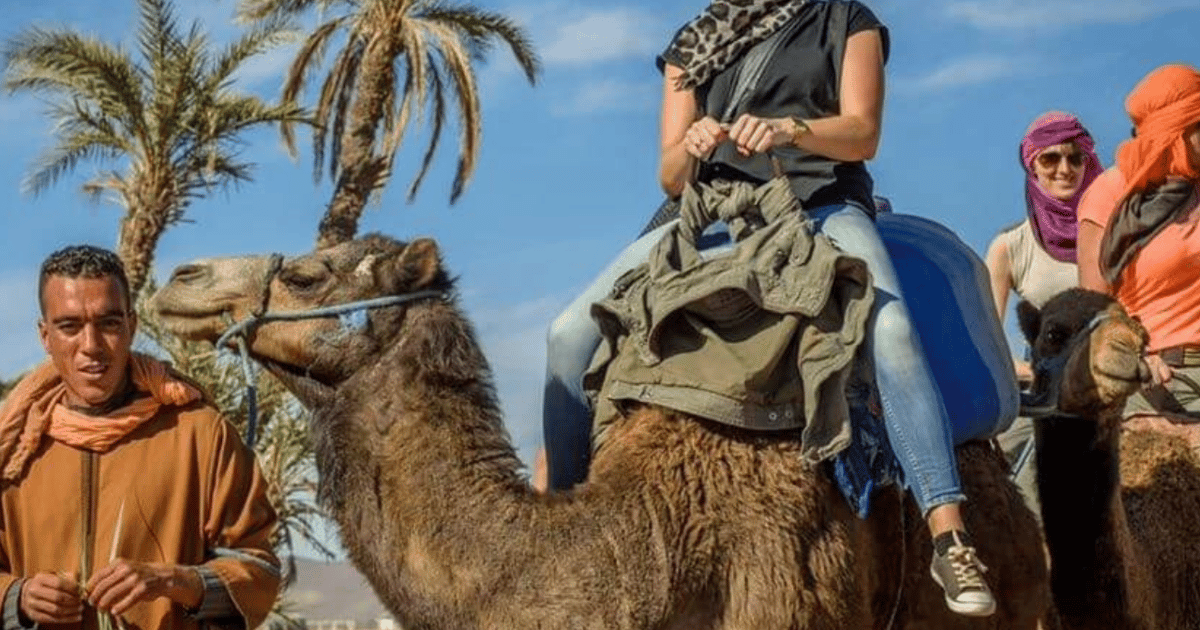 Camel Ride in the Palm Marrakech | GetYourGuide