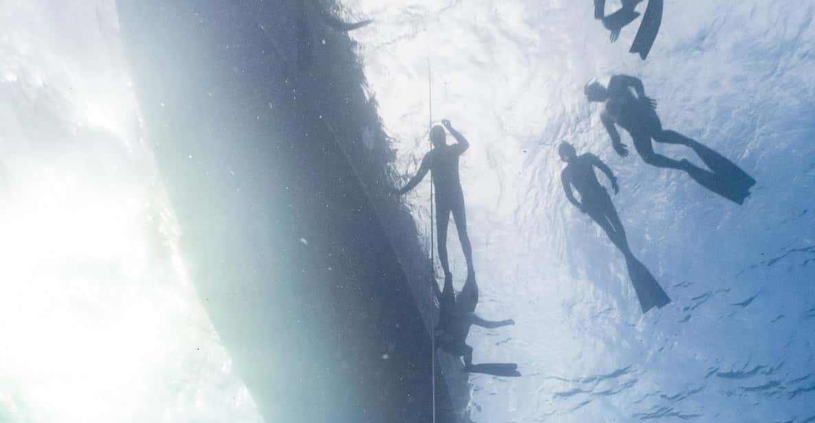 Las Palmas: Freedive & Deep Snorkel Experience For Beginners | GetYourGuide
