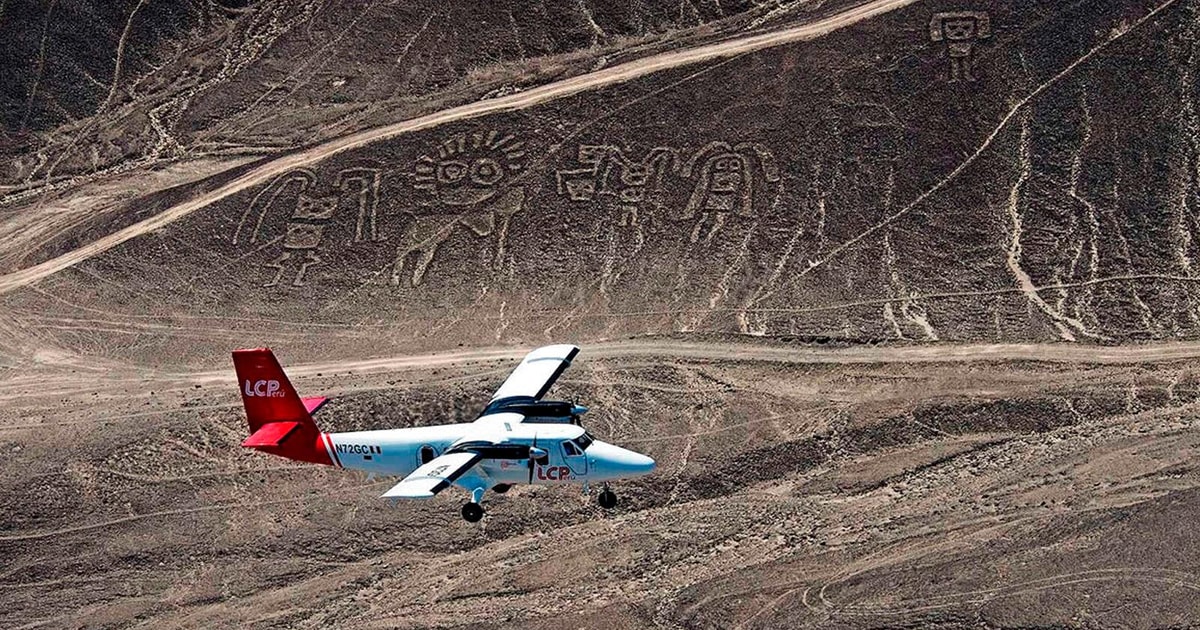 Full day Ballestas Islands - Nazca-Nazca Lines Overflight | GetYourGuide