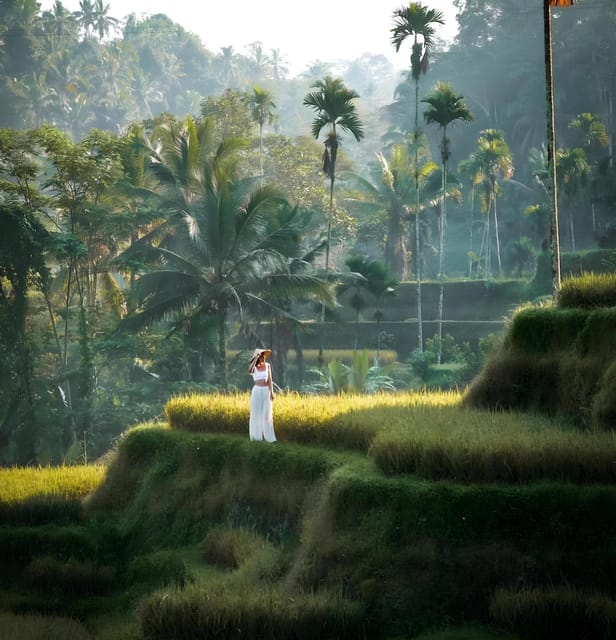 Sightseeing One Day UBUD Instagram Highlights - PRIVATE TOUR | GetYourGuide