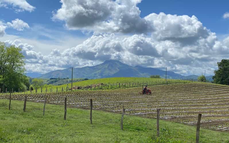 French Basque Country Farms & Food Tour | GetYourGuide