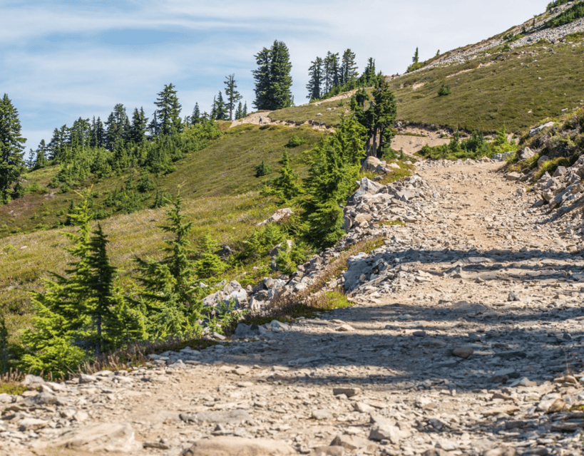 Elfin Lakes in Garibaldi Hiking Day Trip | All-inclusive | GetYourGuide