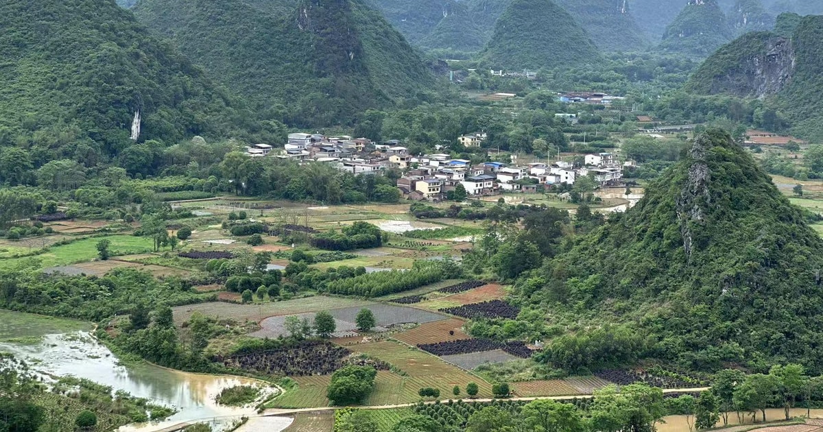 Guilin: 3-Day Private Tour with Longji and Yangshuo | GetYourGuide