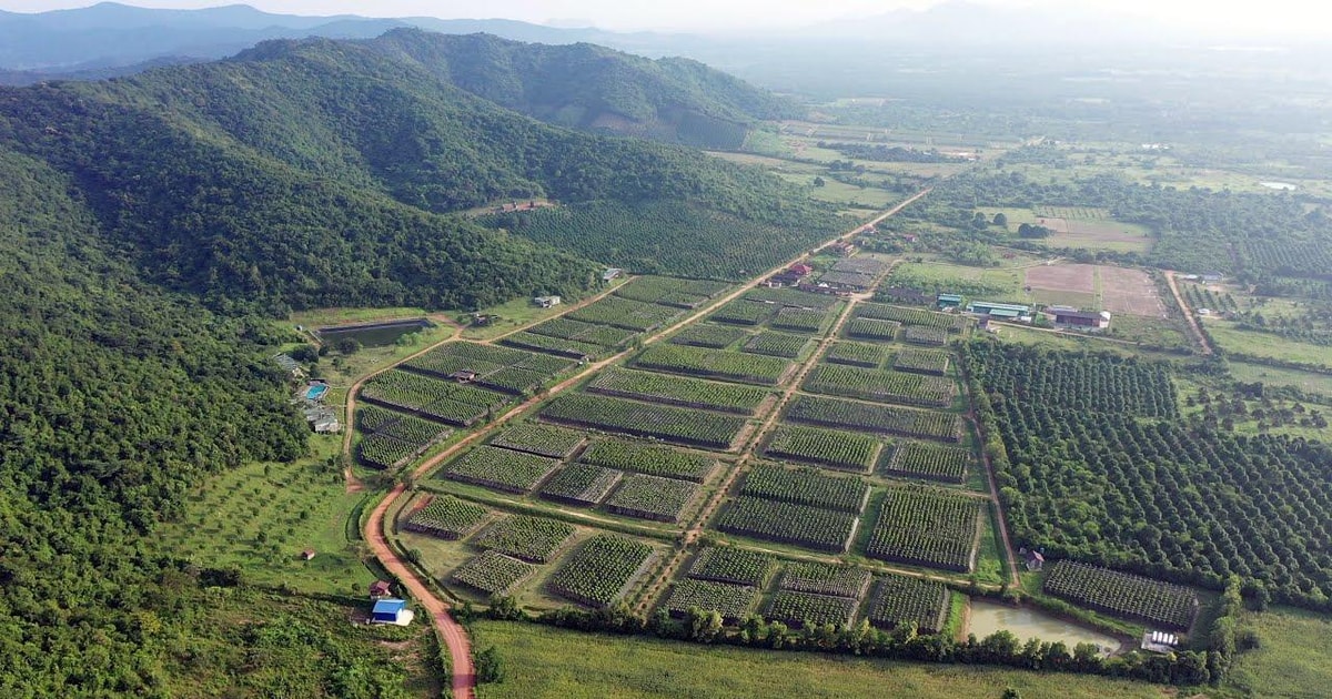 Kampot Tagestour zur berühmten Pfefferfarm, zum Tempel und zum Salzfeld ...