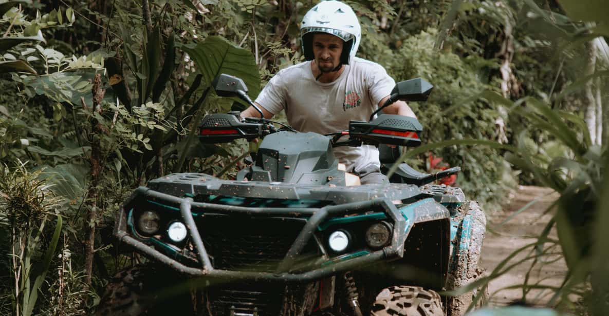 Ubud Atv Quad Bike Ride 850cc by Alasan Adventure | GetYourGuide