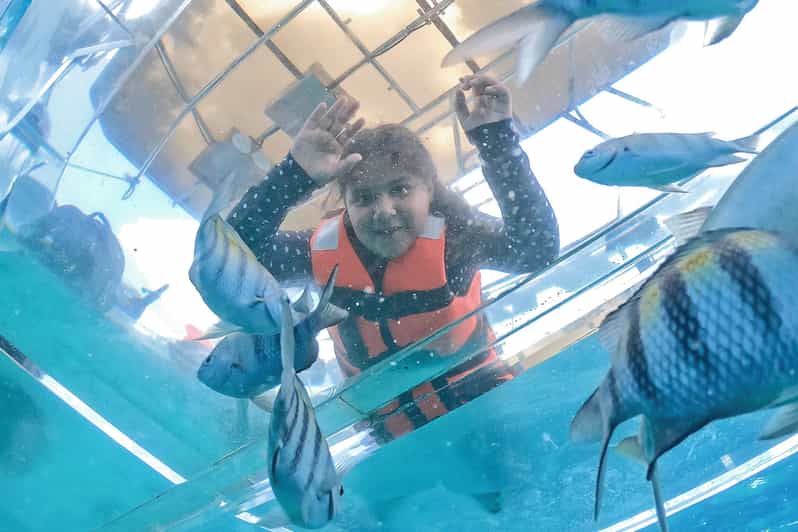 Cozumel: Transparent Boat Tour with Snorkeling | GetYourGuide