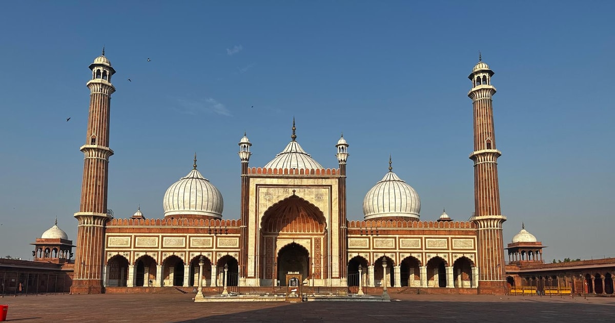 Delhi in een halve dag: historische monumenten en culinaire ...