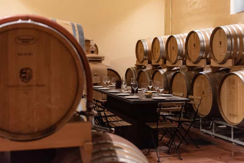 Siena: Winery tour/tasting with owner/maker of awarded wines | GetYourGuide