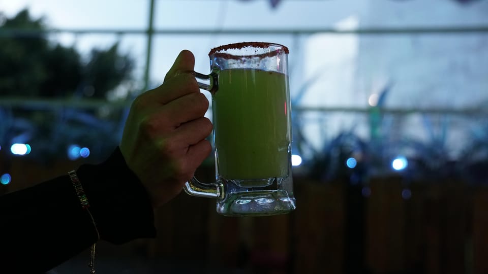 Ciudad de México: Auténtico Mezcal, Tequila, Pulque y Tacos | GetYourGuide