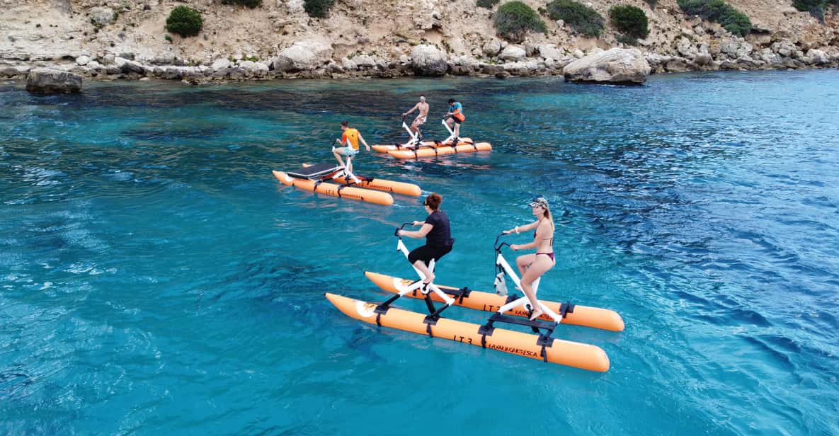 Golfo Aranci: Hydrobike experience with aperitif & Dolphins | GetYourGuide