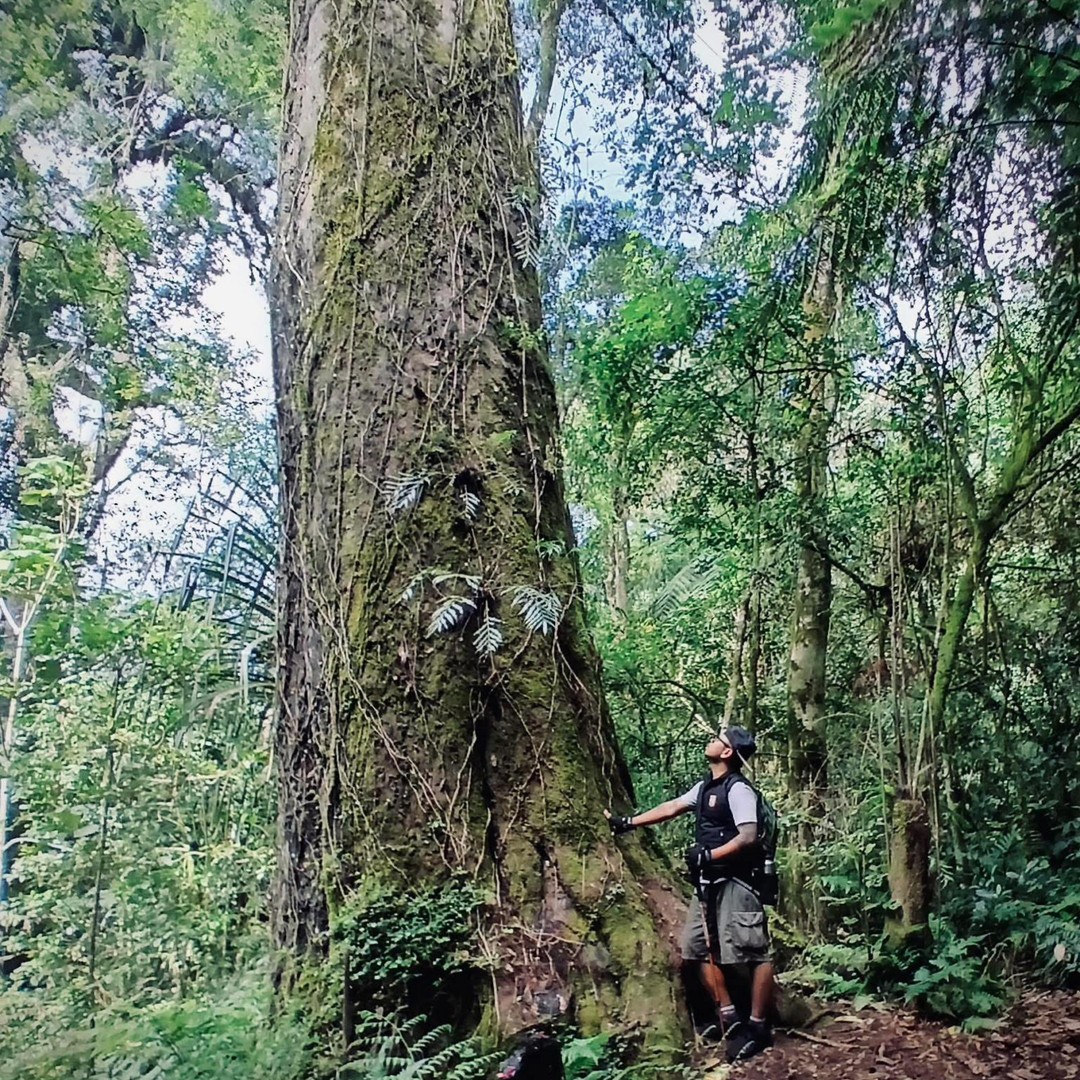 Bali: Trekking nella giungla del Monte Lesung e tour del lago ...