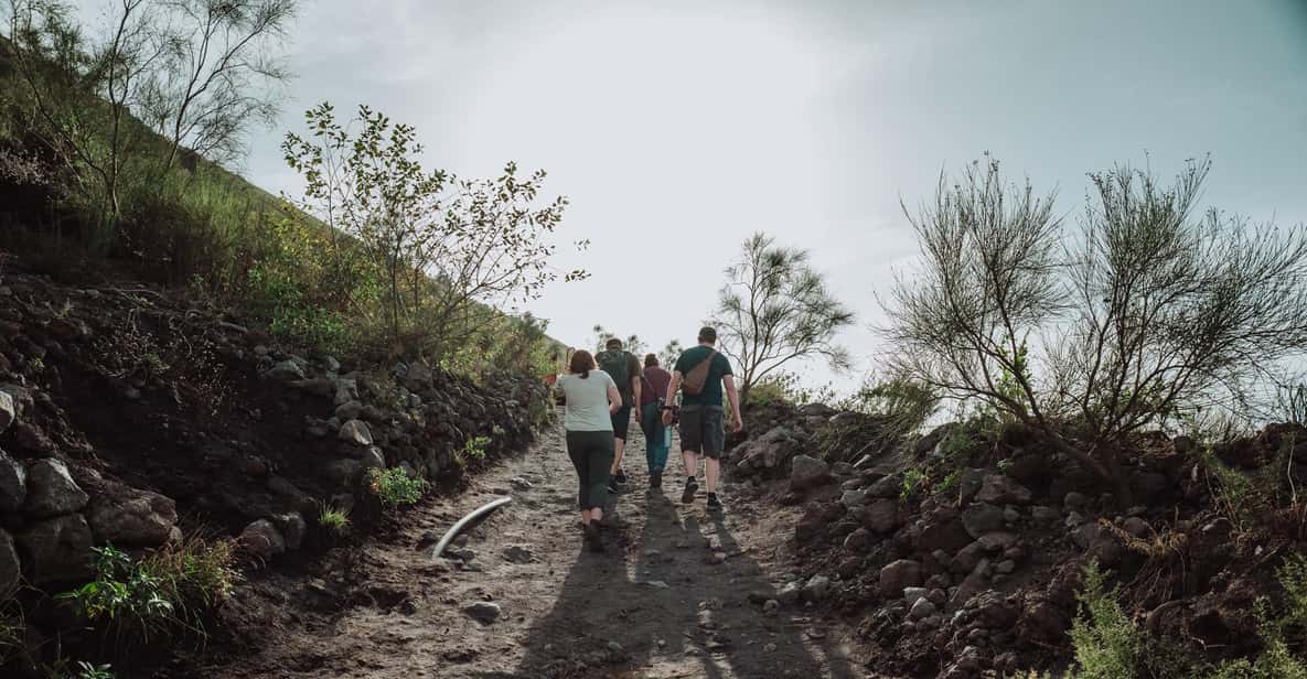 Pompeii and Mount Vesuvius excursion from Naples | GetYourGuide