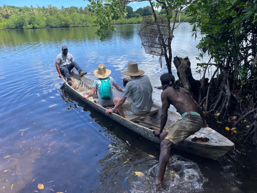 Zanzibar: Natuur en Avontuur Dagtour | GetYourGuide