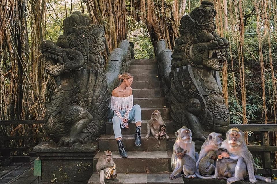 Bali: Adéntrate en la Naturaleza con un Parque de Aves y Bosque de Monos de Bali | GetYourGuide