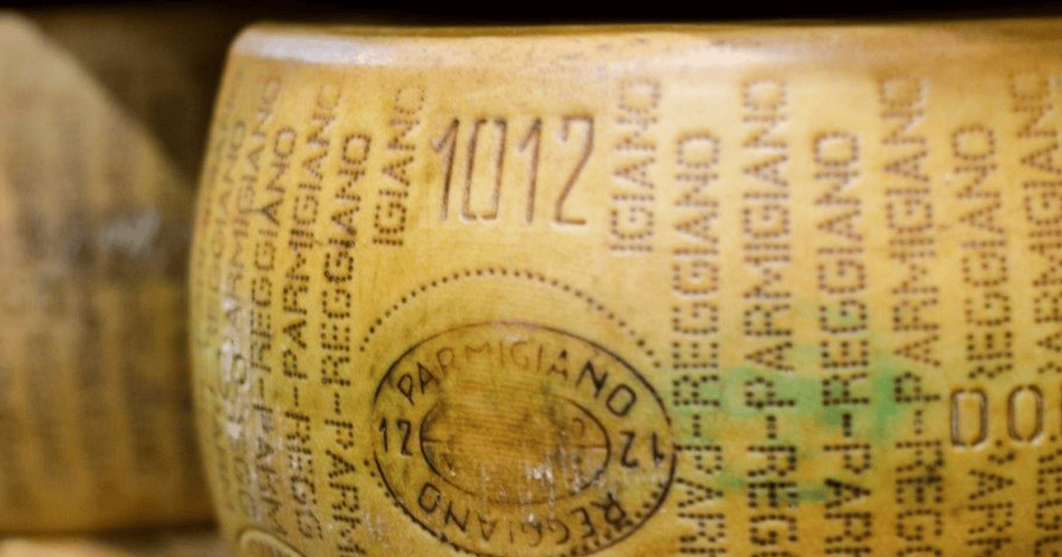 Visite et dégustation de parmesan près de Modène | GetYourGuide