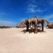 Magawish island with multi options - 2026 (Verified Reviews)