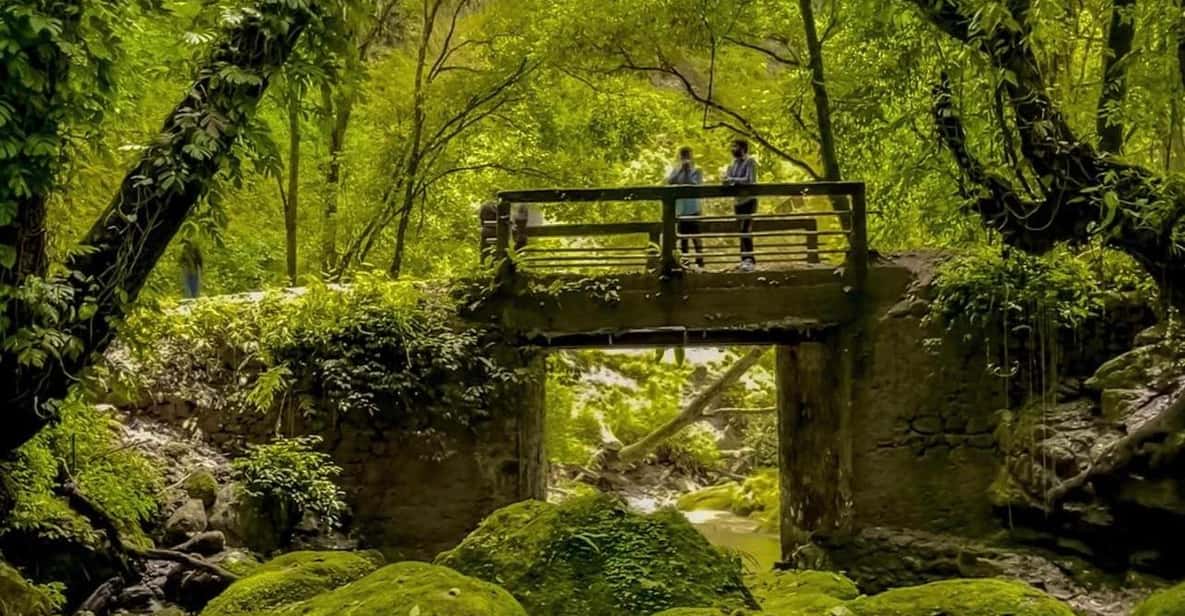 Kathmandu: Jamacho( Nagarjung Danda) Day Hike | GetYourGuide